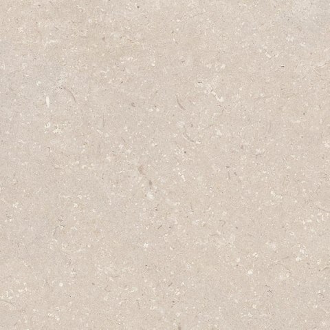 Porcelanosa Coral Caliza 80x80 G.1-płytka podłoga rektyfik ...